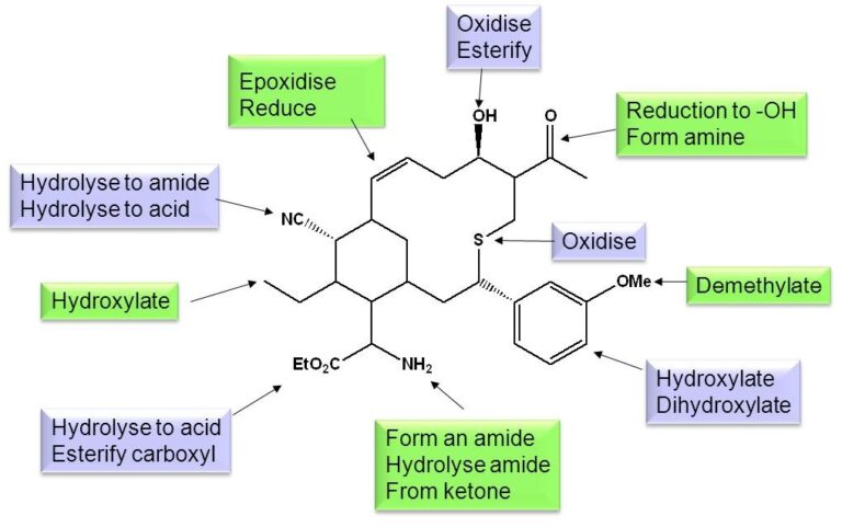 Biocatalysis – How secret should it be? – Chemicals Knowledge