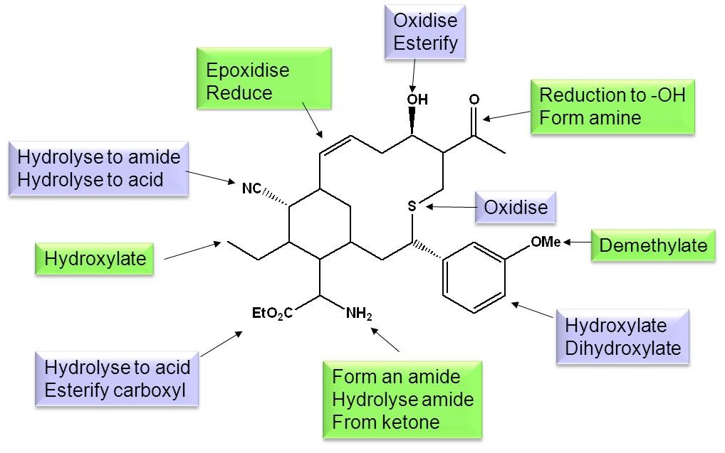 Biocatalysis – How secret should it be? – Chemicals Knowledge